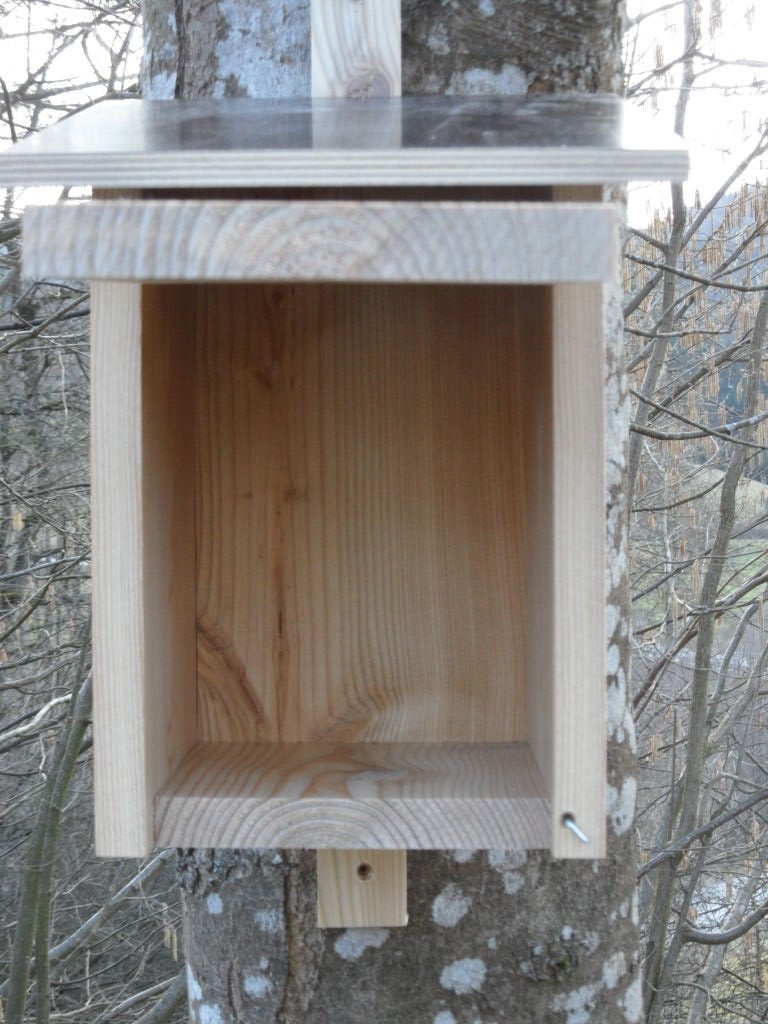 Star WETTERFEST IMPREGNED Nesting Box Made of Premium Larch - Etsy
