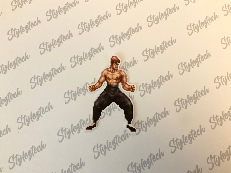 Street Fighter 2 Stickers Set 2 | Etsy