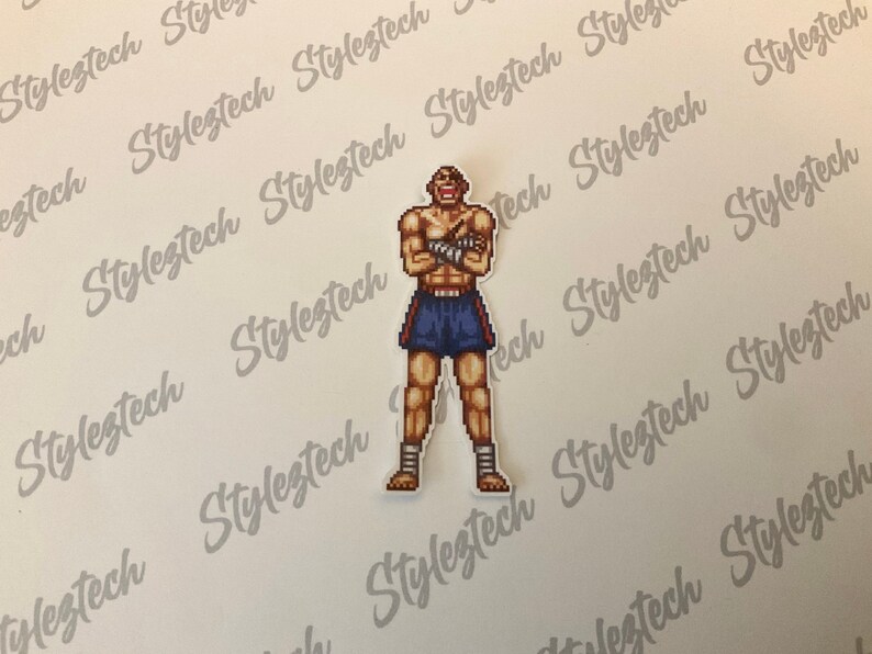Street Fighter 2 Stickers Set 2 | Etsy