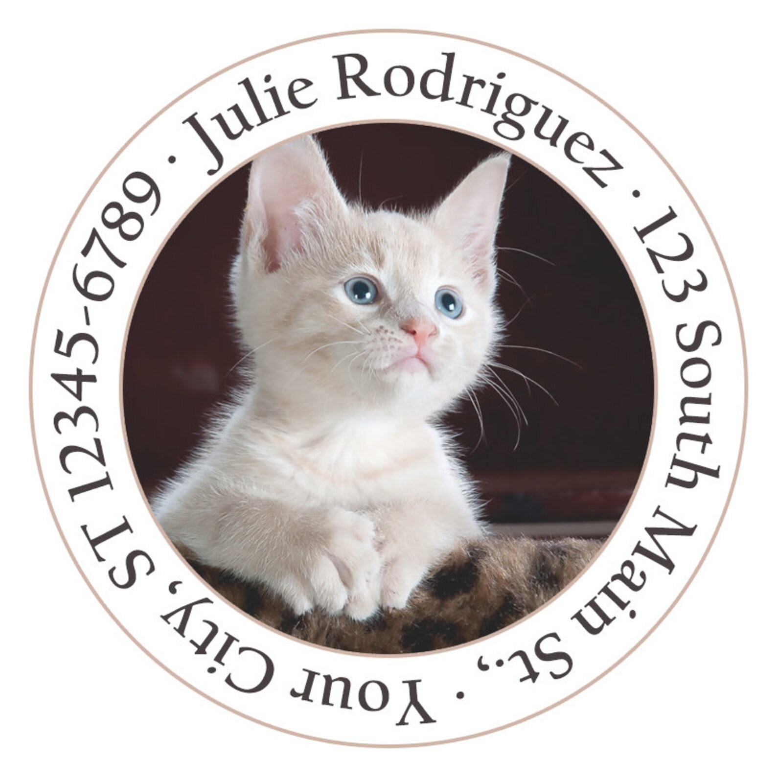60 Cat Personalized Return Address Labels White and Grey - Etsy
