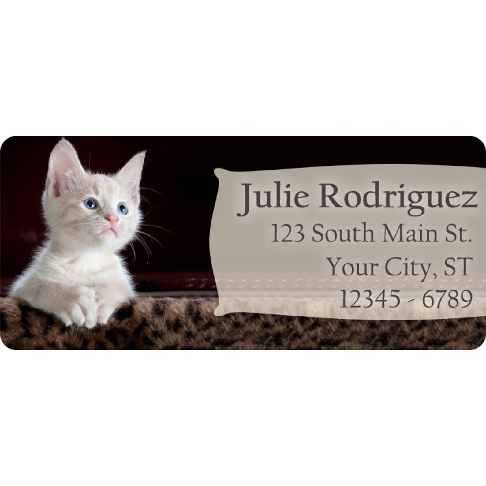 60 Cat Personalized Return Address Labels White And Grey Etsy