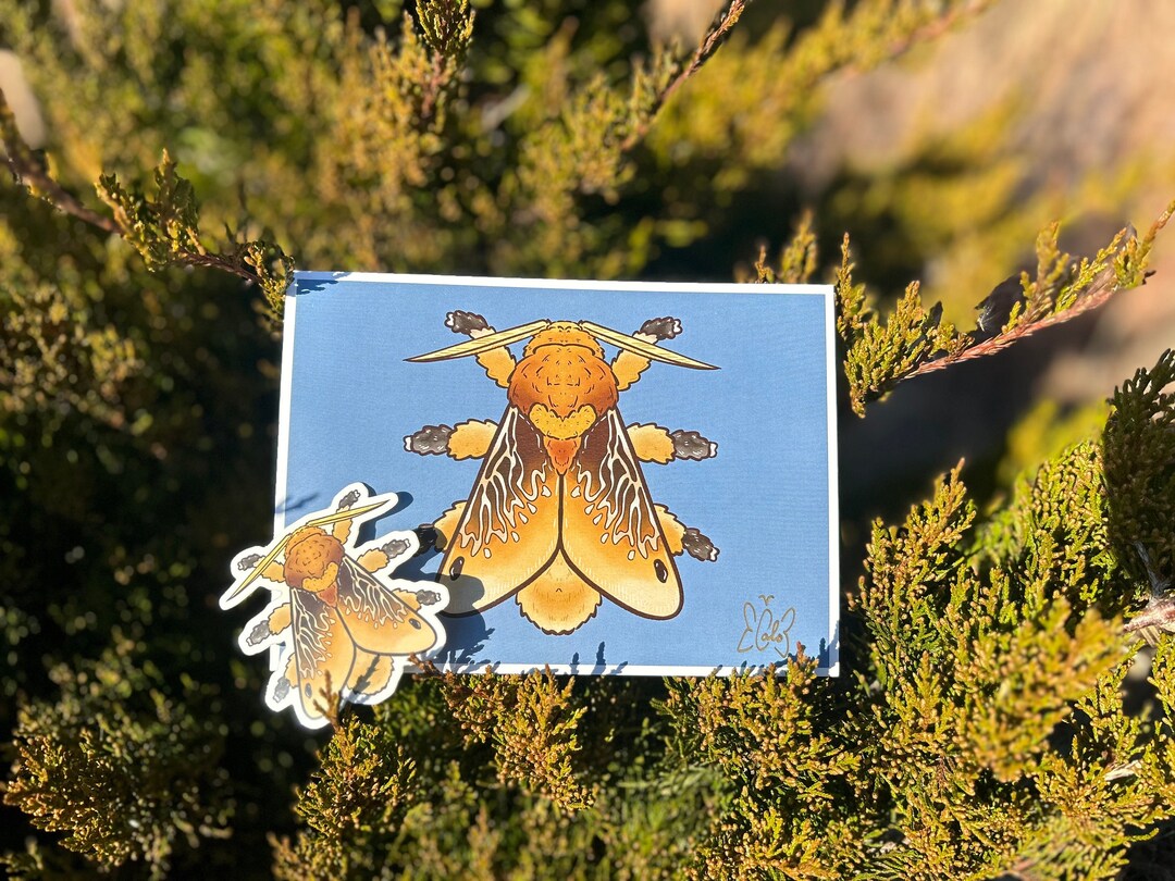 Southern Flannel Moth Set (print and Sticker) - Etsy