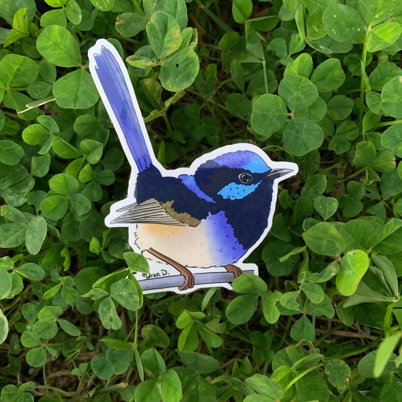 Fairy Wren - Etsy