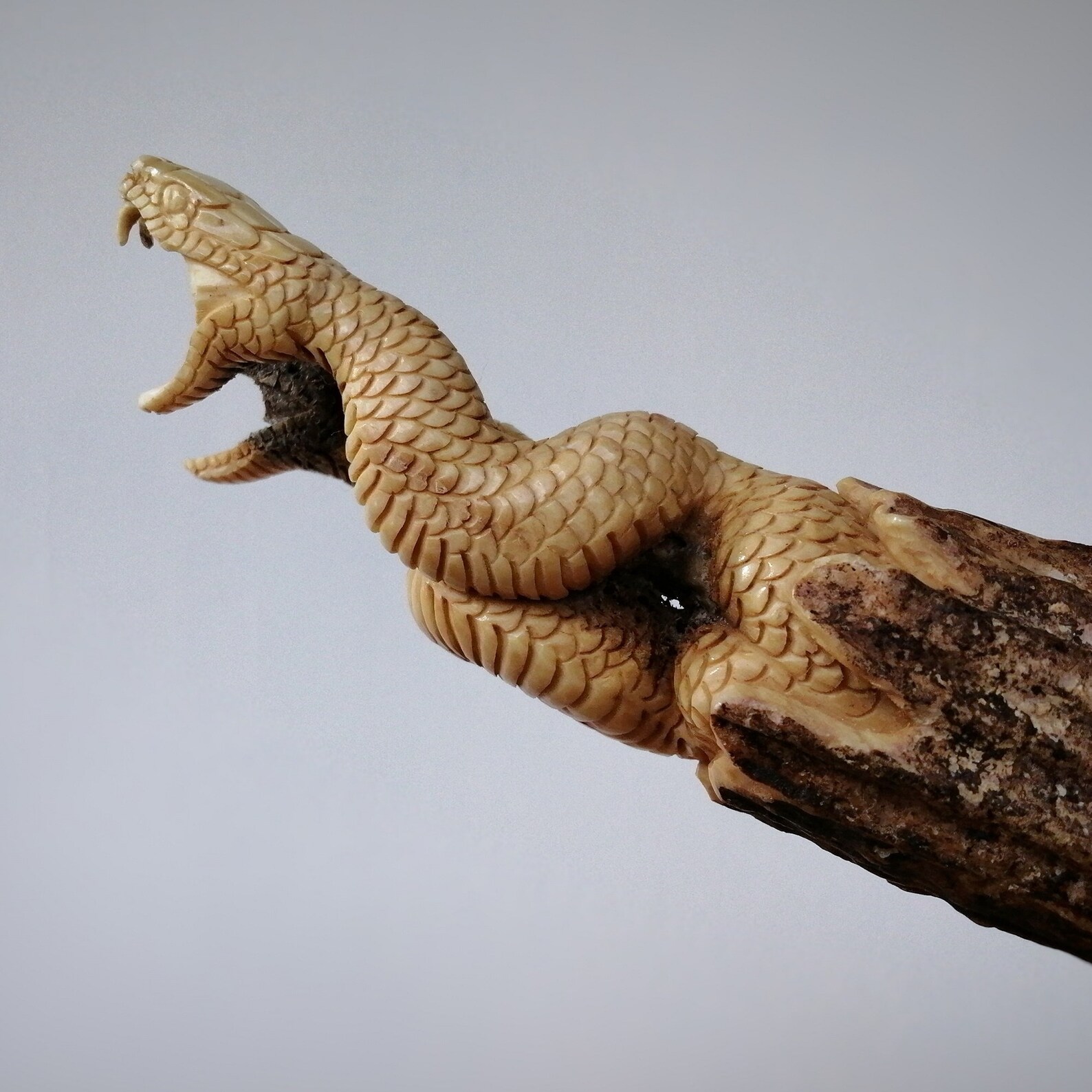 Knife Handle of Deer Antler Carved Snake B - Etsy