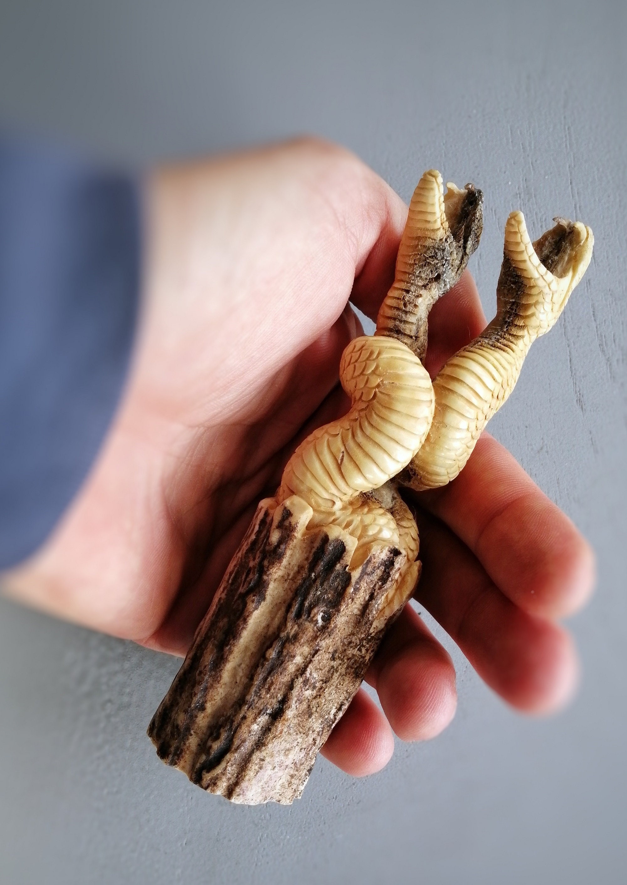 Knife Handle of Deer Antler Carved Snake B - Etsy
