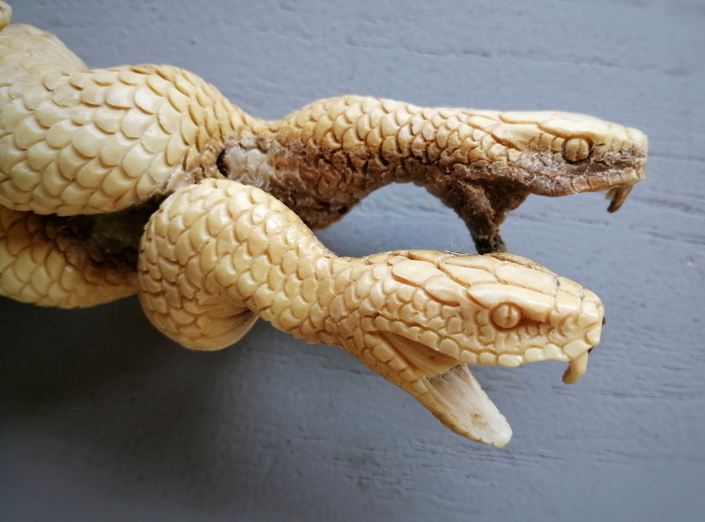 Knife Handle of Deer Antler Carved Snake B - Etsy