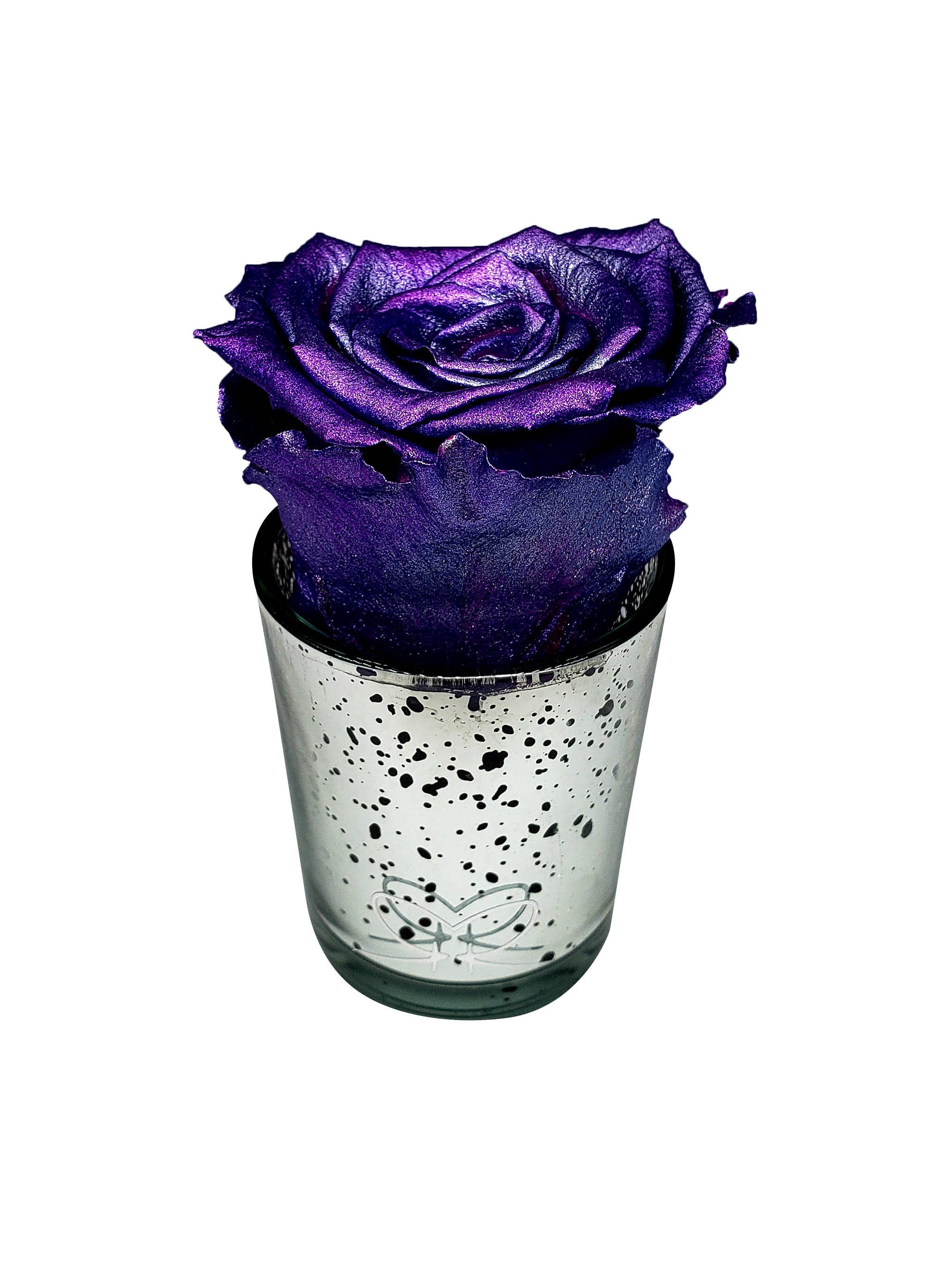 Preserved LAVENDER METALLIC Rose in silver mercury | Etsy