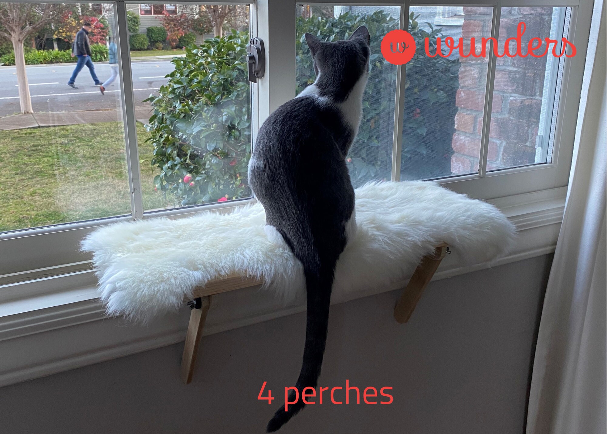 4 Cat Window Perches Cat Shelf Window Sill No Tools - Etsy Canada