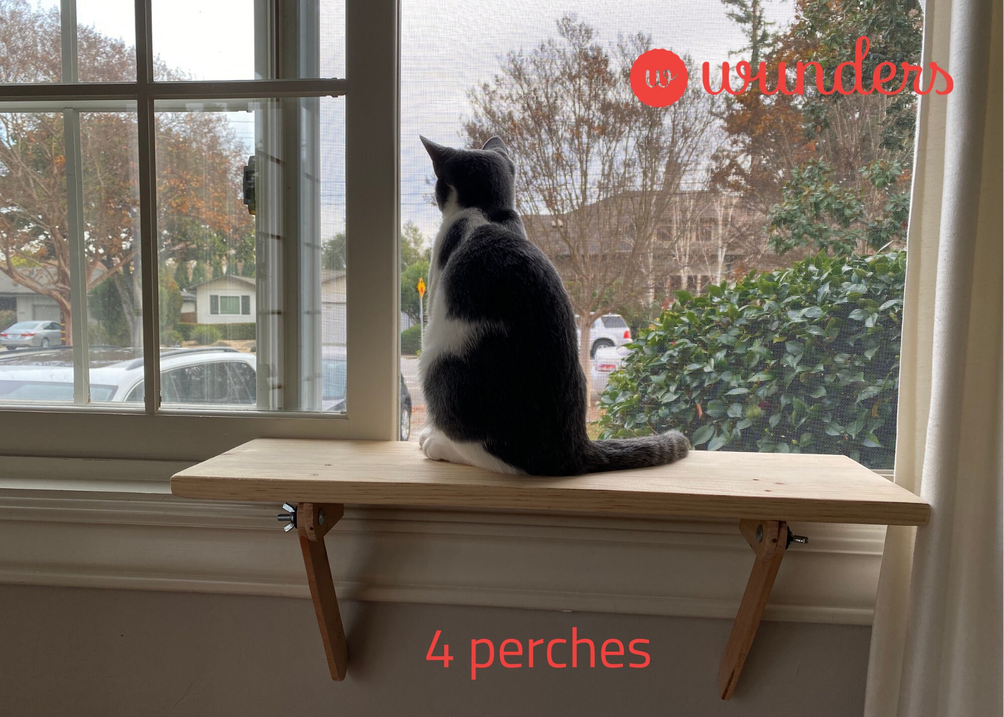 4 Cat Window Perches Cat Shelf Window Sill No Tools - Etsy Canada