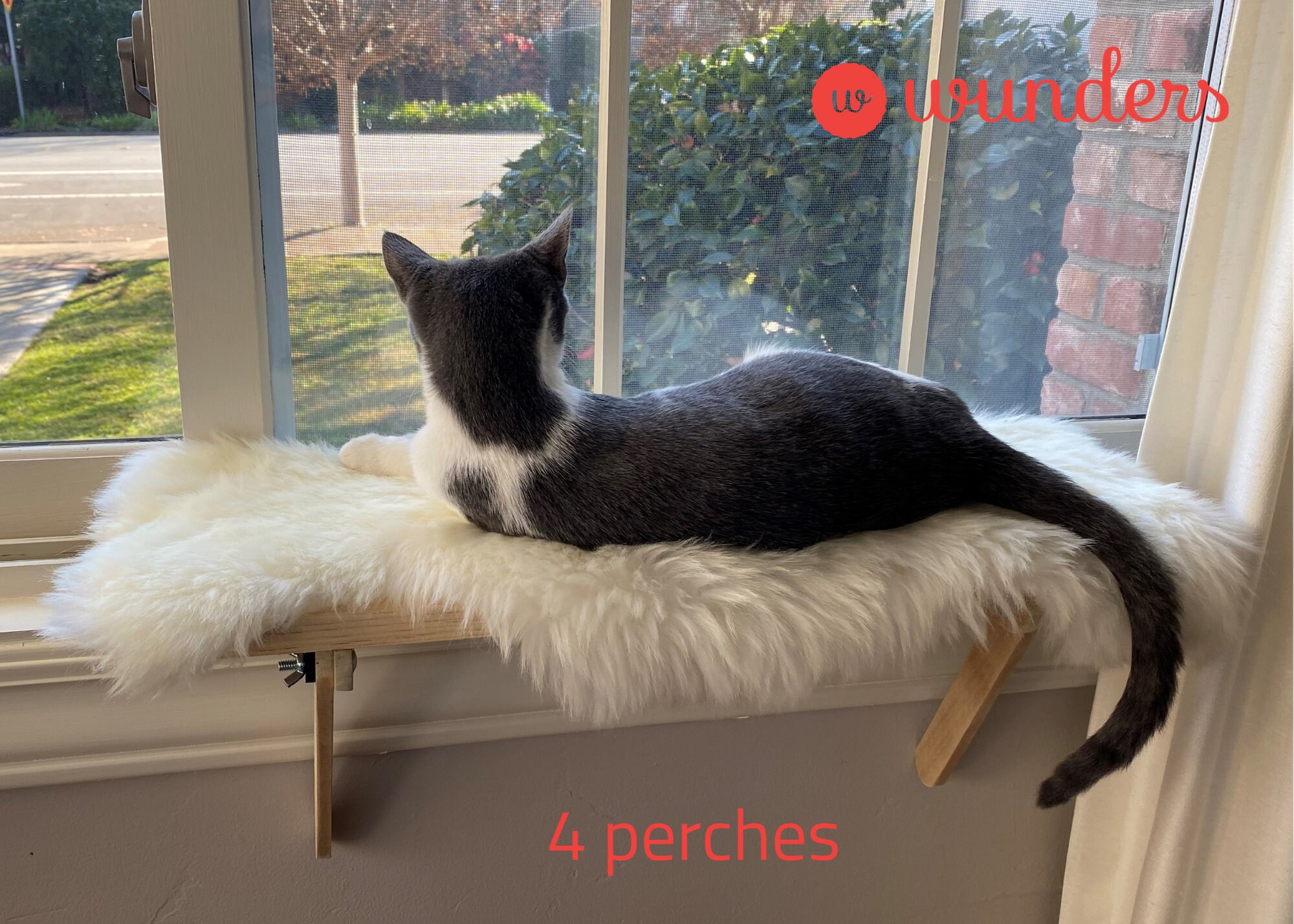 4 Cat Window Perches Cat Shelf Window Sill No Tools | Etsy Canada