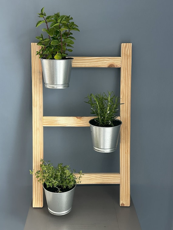 Plant ladder store