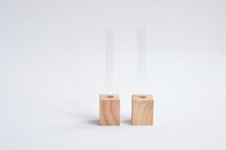 2 Laboratory Test Tube Flower Vases on Reclaimed Pine Wood - Etsy