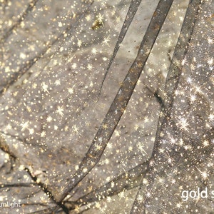 Sparkling Silver Stars Black Cathedral Wedding Cape Train Stars With ...