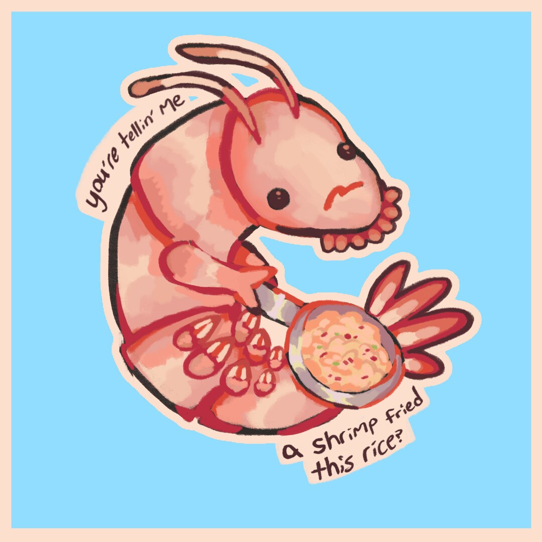 Shrimp Fried Rice Sticker - Etsy