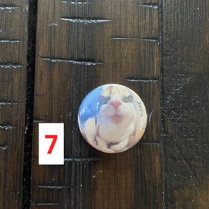 Silly Fish-eye Lense Cat Pin-back Buttons - Etsy