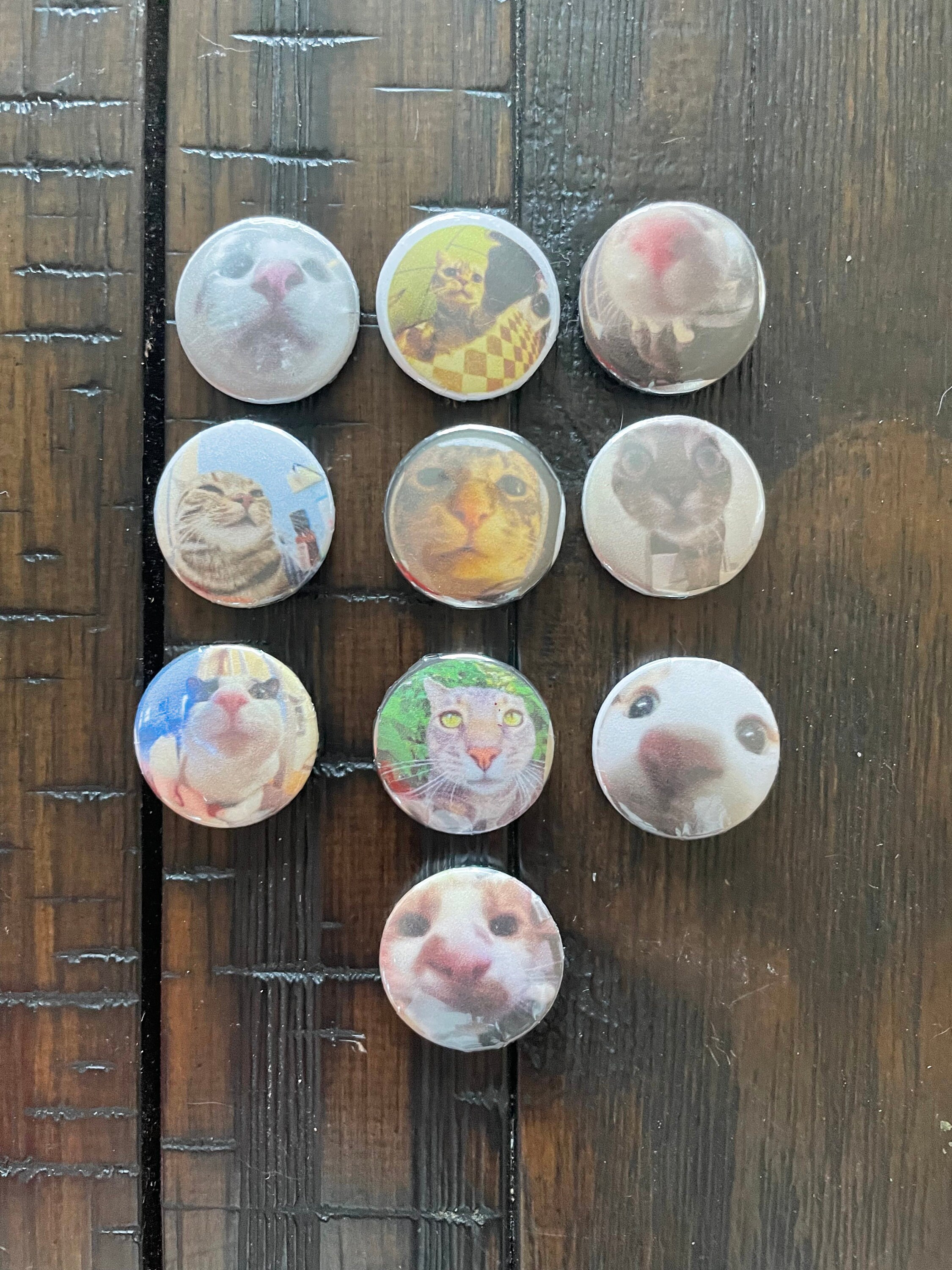 Silly Fish-eye Lense Cat Pin-back Buttons - Etsy