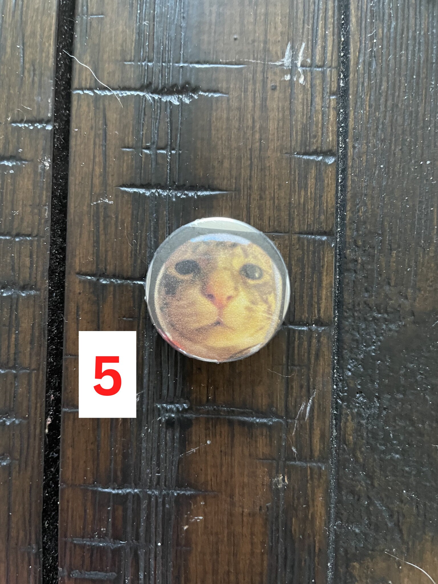 Silly Fish-eye Lense Cat Pin-back Buttons - Etsy