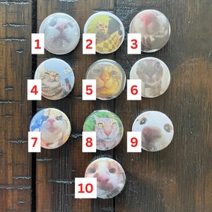 Silly Fish-eye Lense Cat Pin-back Buttons - Etsy
