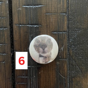 Silly Fish-eye Lense Cat Pin-back Buttons - Etsy