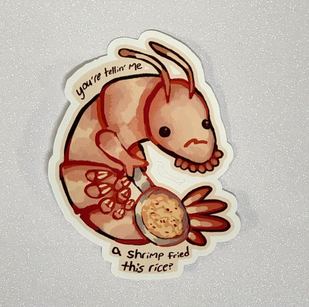 Shrimp Fried Rice Sticker - Etsy