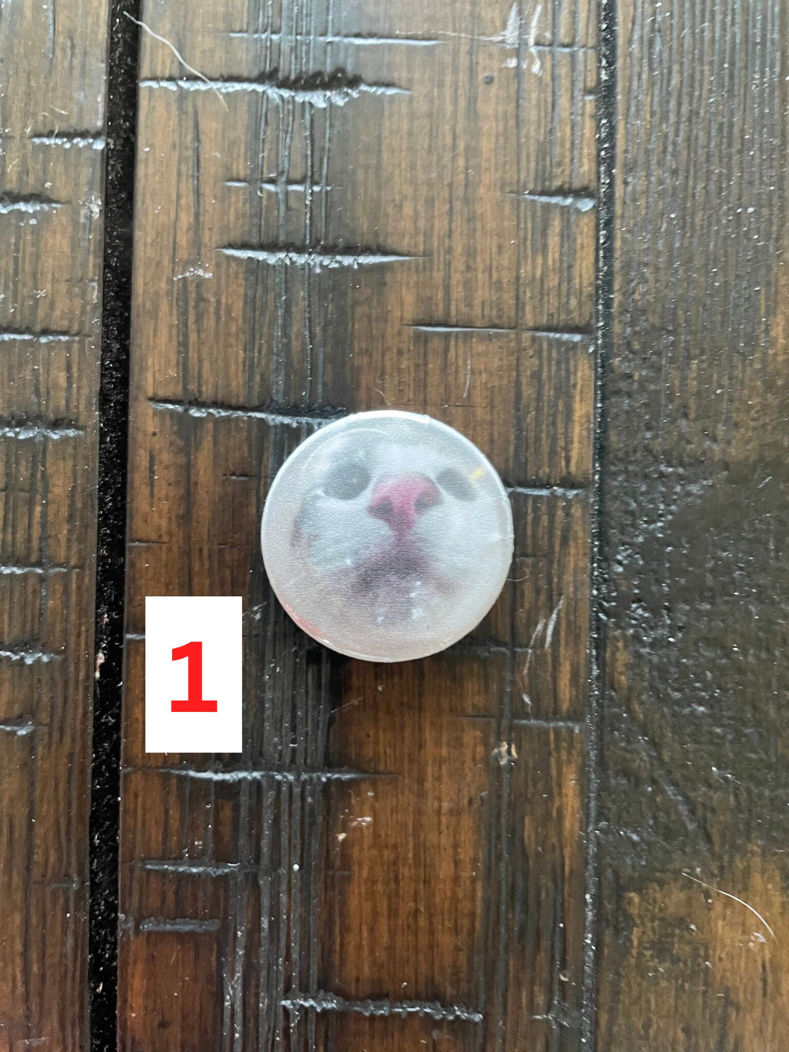 Silly Fish-eye Lense Cat Pin-back Buttons - Etsy