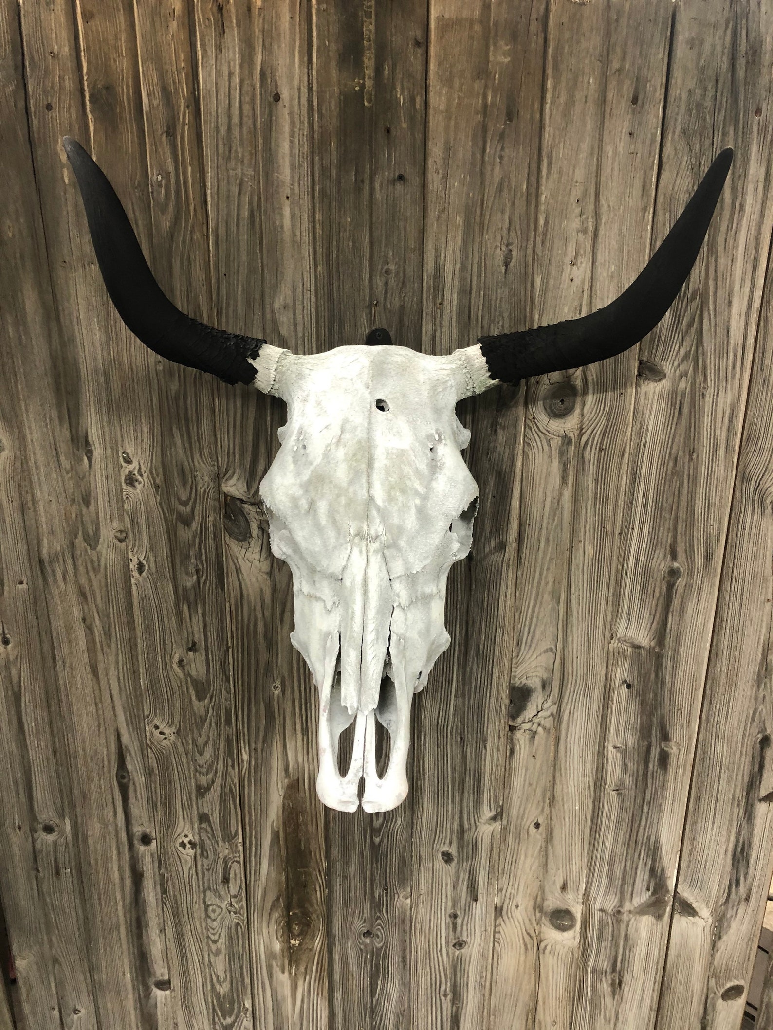 Bull Cow Steer Skull Mount Hanger “the Eurohanger” Skull Not Included ...