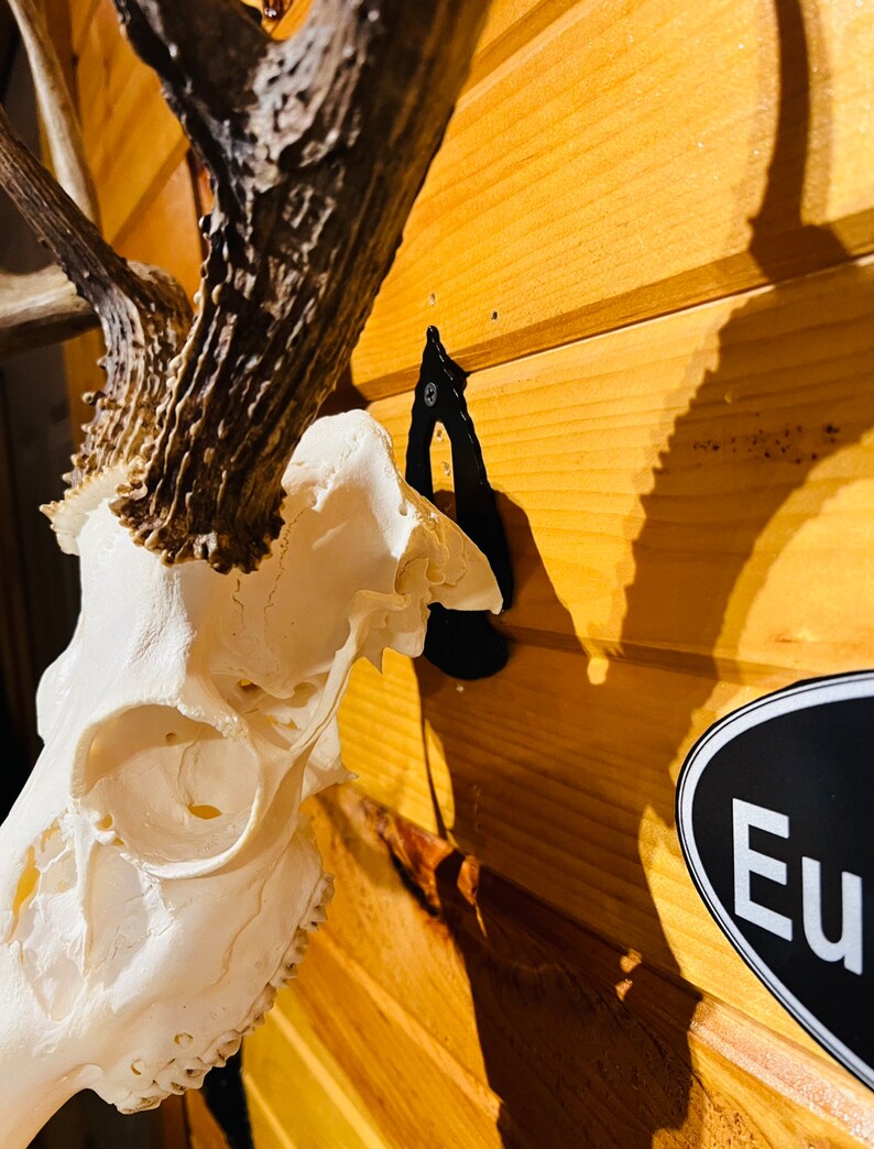 The Eurohanger "primitive" Skull Hanger Mount Bracket Deer Antelope ...