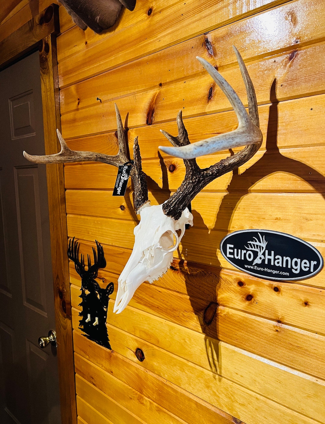 The Eurohanger Skull Hanger "slim" Skull Mount Bracket Deer Antelope ...