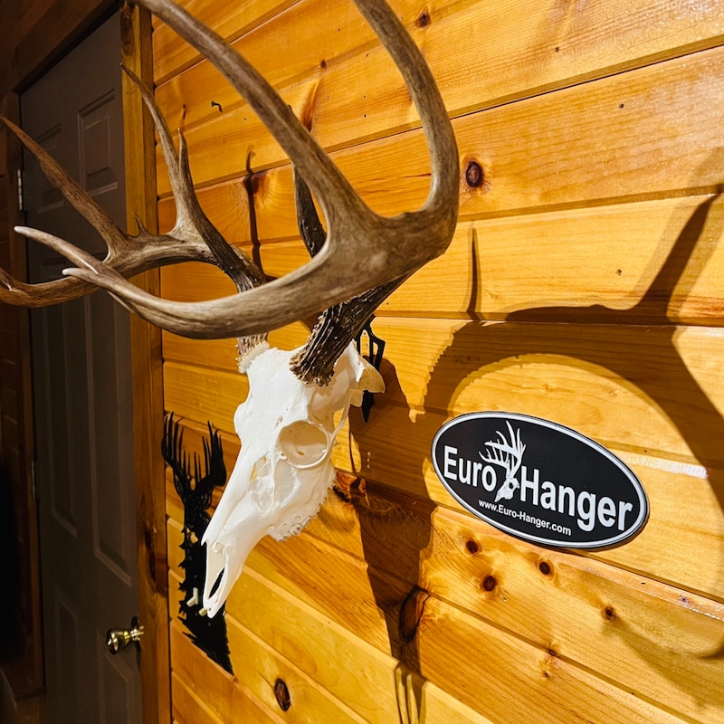 Deer Antler Mount - Etsy