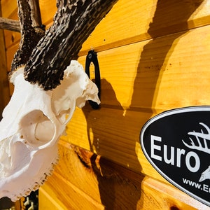 The Eurohanger Skull Hanger "slim" Skull Mount Bracket Deer Antelope ...