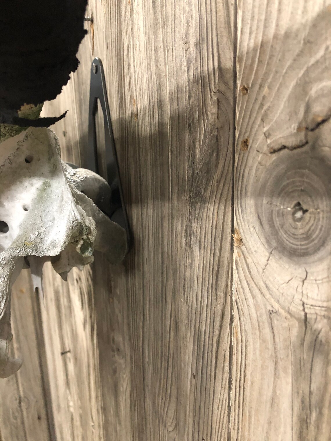 Bull Cow Steer Skull Mount Hanger “the Eurohanger” Skull Not Included ...