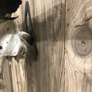 Bull Cow Steer Skull Mount Hanger “the Eurohanger” Skull Not Included ...