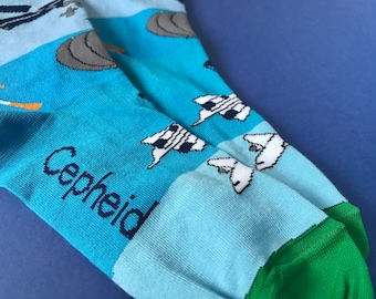 French Doctorate Graduation T-shirt - Etsy