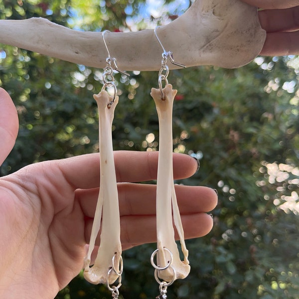 Bones for Jewelry - Etsy