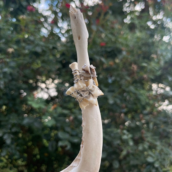 Bone Ring - Etsy