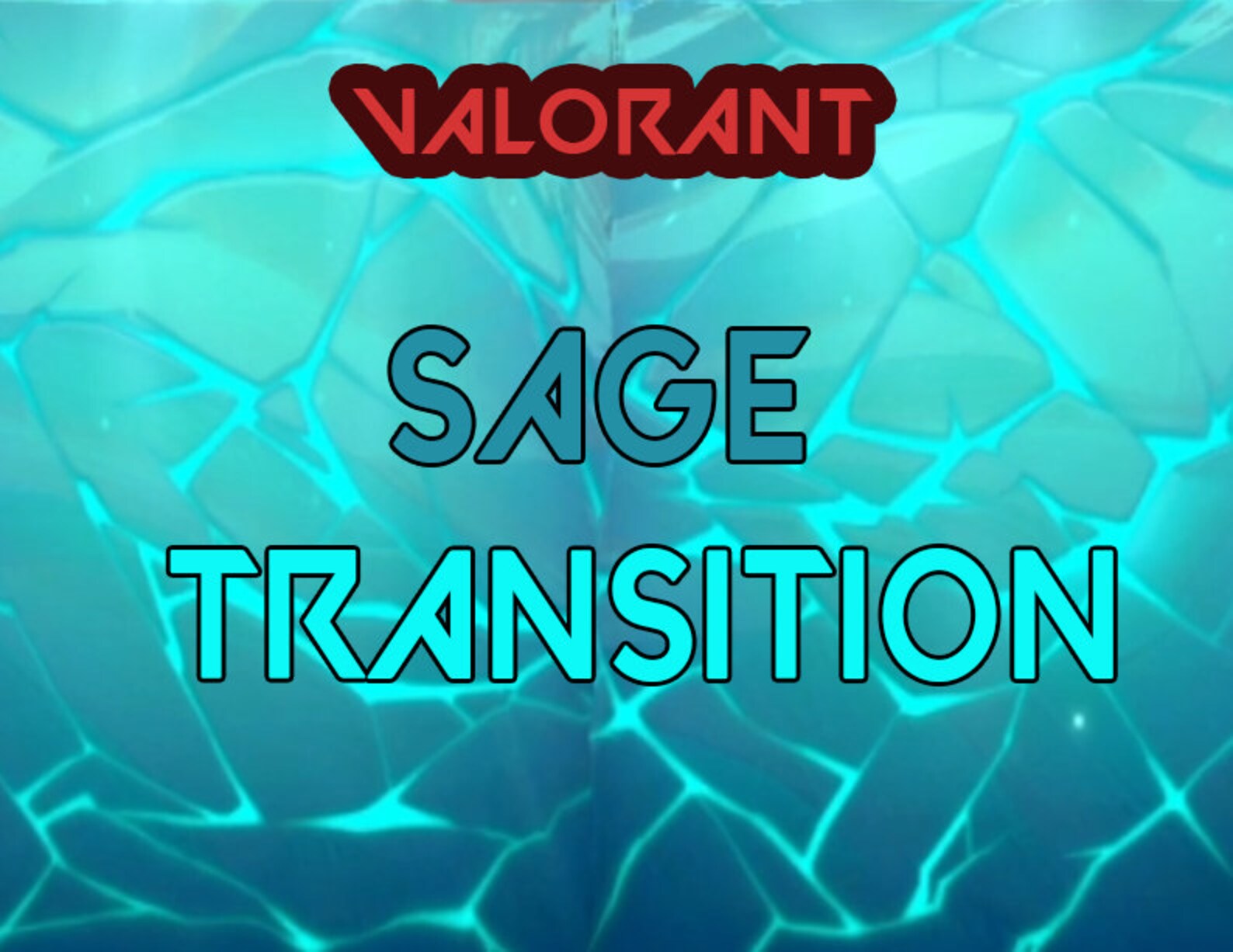 Valorant Sage Transition / Sage transition / valorant | Etsy