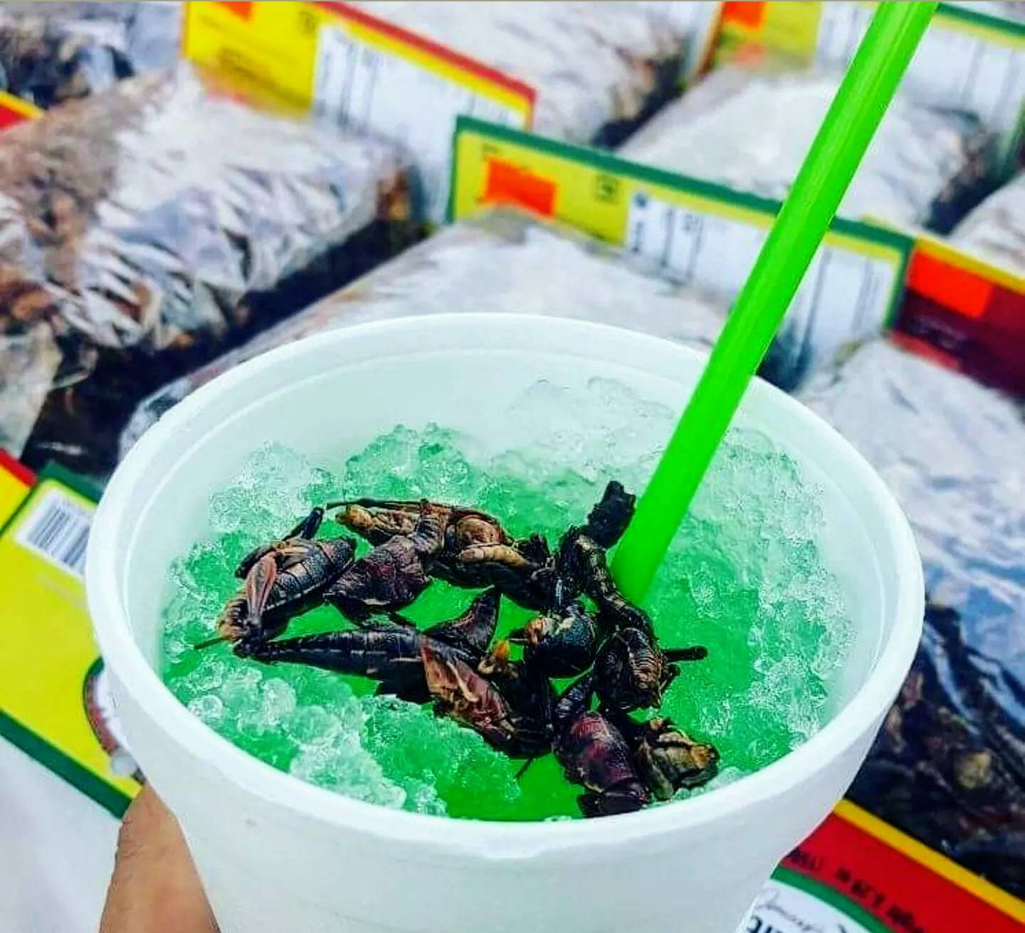Duo Chapulines Con Sal Y Limon Y Chile Y Limon - Salt and Lemon and ...
