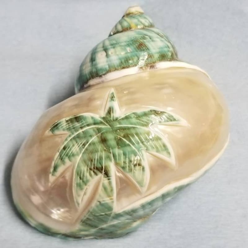 Painted Crab Shell - Etsy