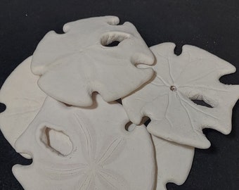 Tusk Shell White 1 Inch and Under 1/4 Cup - Etsy