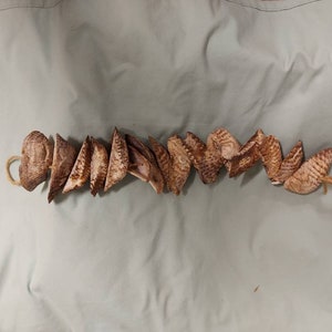 Turkey Wing Swings, Chimes Ladder or Bridges for Hermit Crabs - Etsy