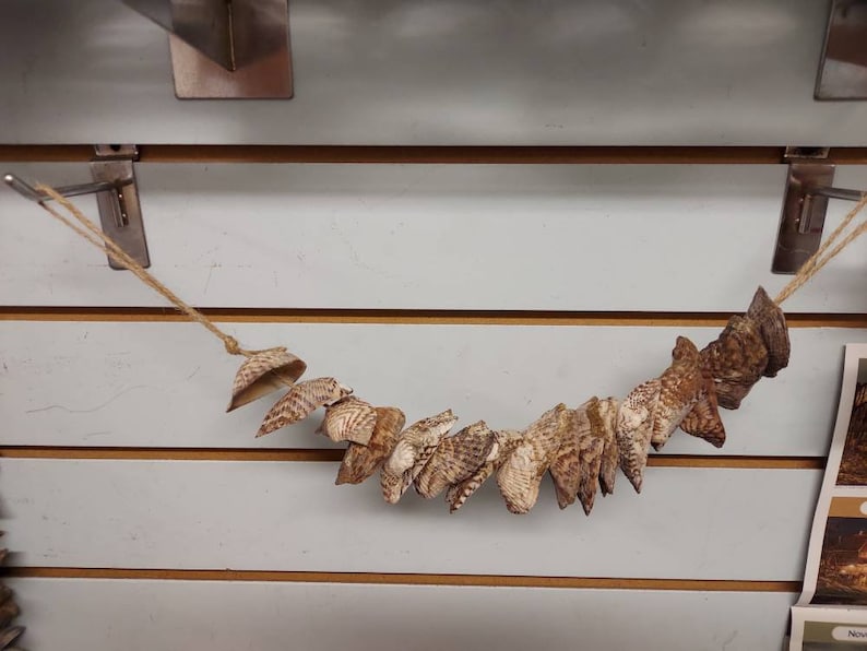 Turkey Wing Swings, Chimes Ladder or Bridges for Hermit Crabs - Etsy