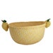 Fruit Basket Iraca/raffia/klatso - Etsy