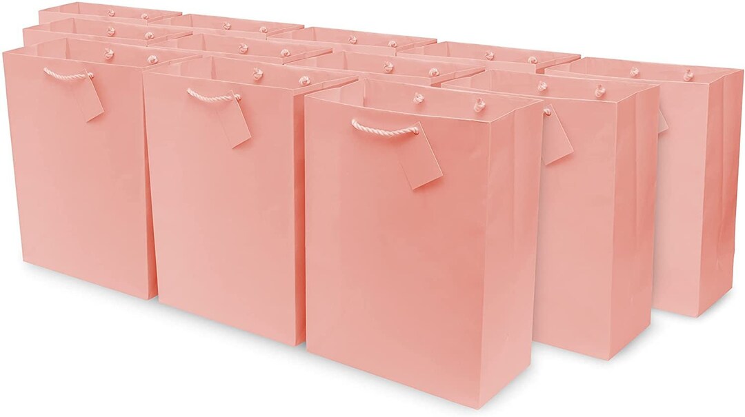 Pink Gift Bags 12 Pack Pink Paper Bags With Handles for Birthdays ...