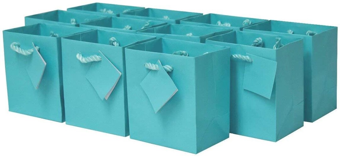 Occasionall 12 Pack Turquoise Gift Bags, Designer Gift Bags With Rope ...