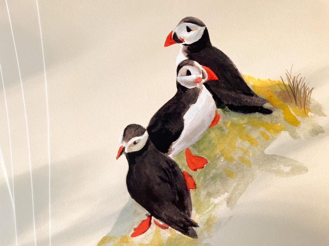 Puffin 4 | Art Print | Size 30x40 - Etsy