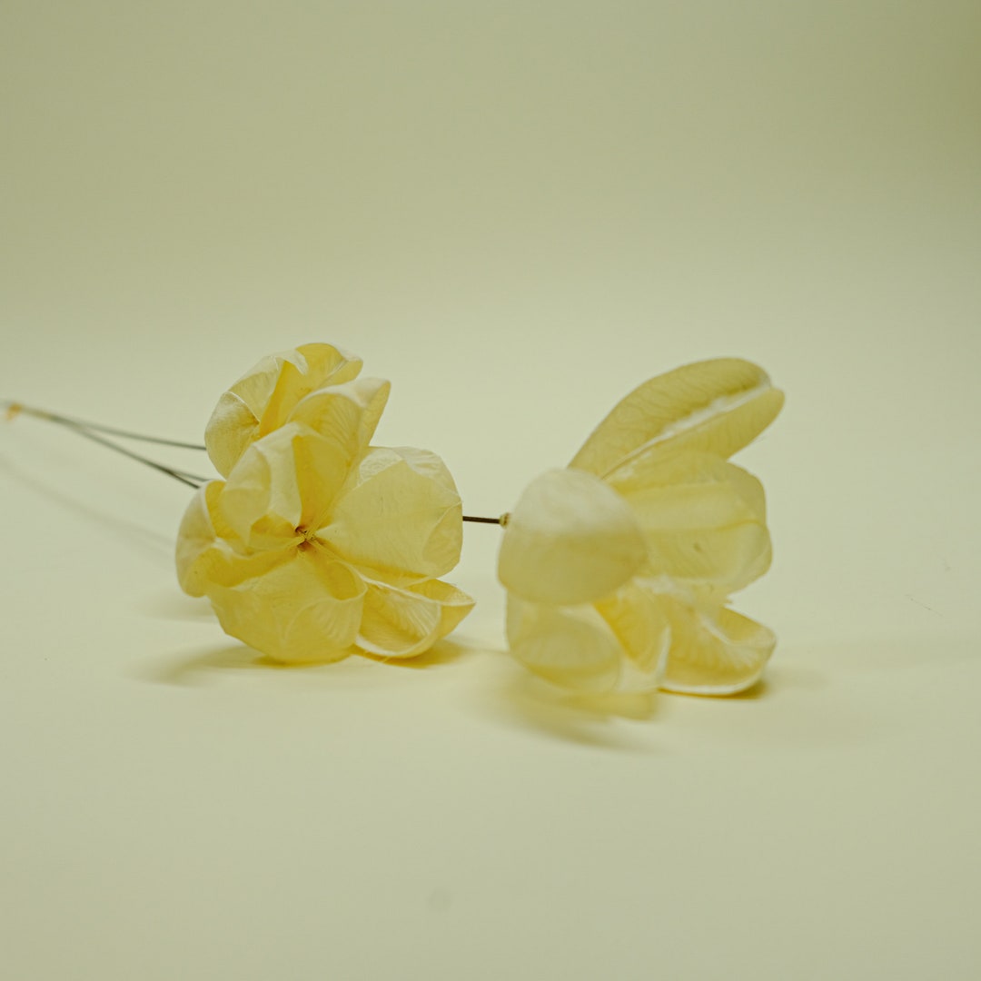 Hand Made Flower Tefe Rose - off White - Etsy