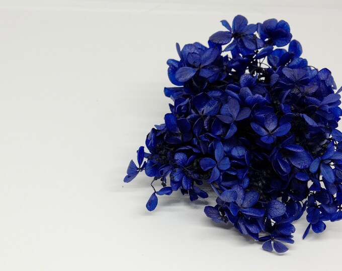Preserved Flower Peegee Hydrangea Navy Blue - Etsy