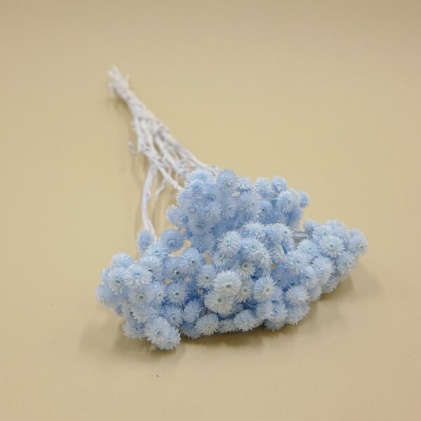 Blue Dried Flowers - Etsy