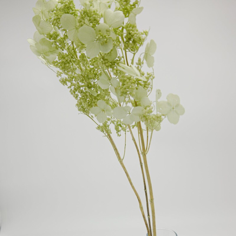 Hydrangea Soap - Etsy