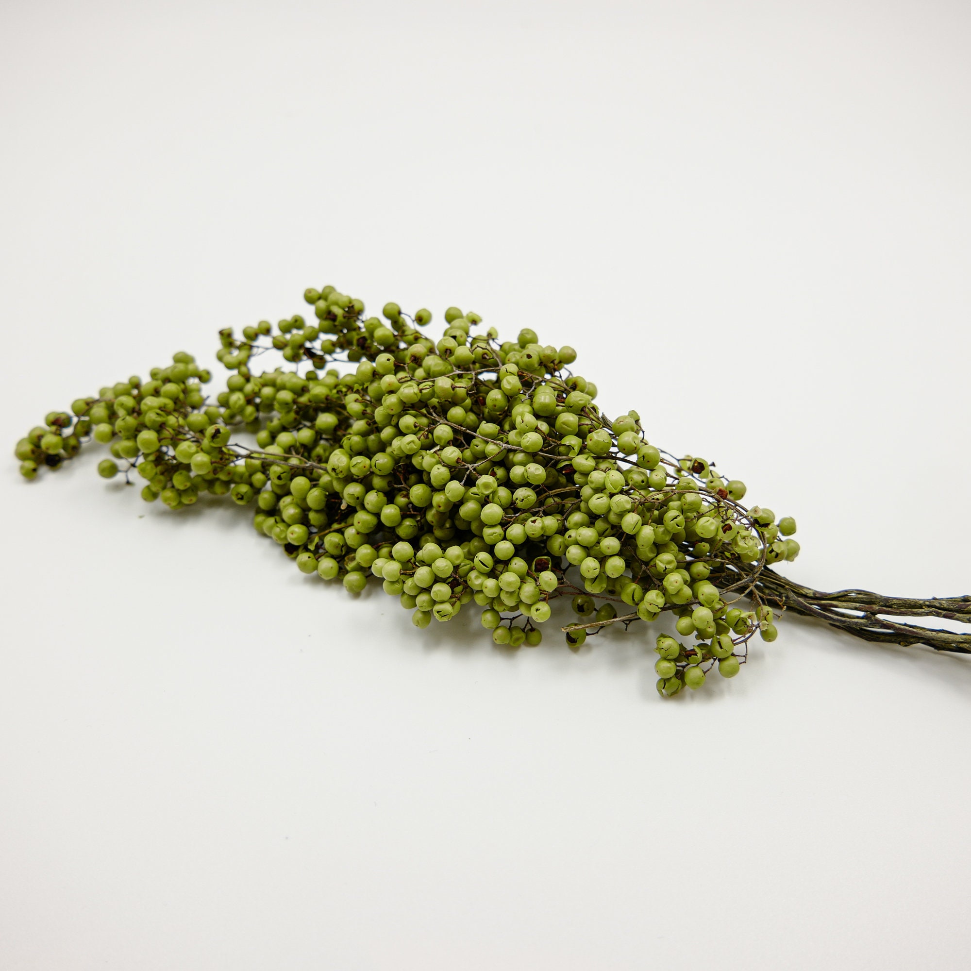 Preserved Flower Pepperberry Clean Green - Etsy